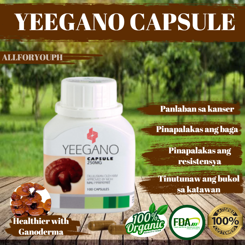 Authentic Dynapharm Ganoderma Capsule 90's Promotes Blood Circulation ...