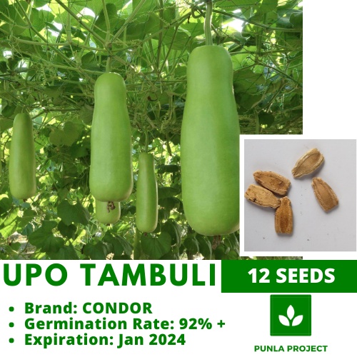 UPO 12seeds Bottle Gourd Tambuli vegetable repacked seeds gardening ...