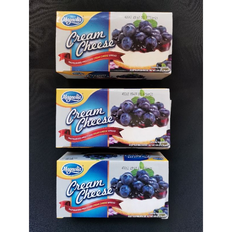 Magnolia Cream Cheese | Lazada PH