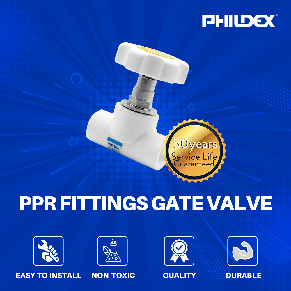 PHILDEX PPR Fittings Gate Valve | Lazada PH