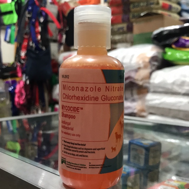 Mycocide Antifungal Shampoo | Lazada PH