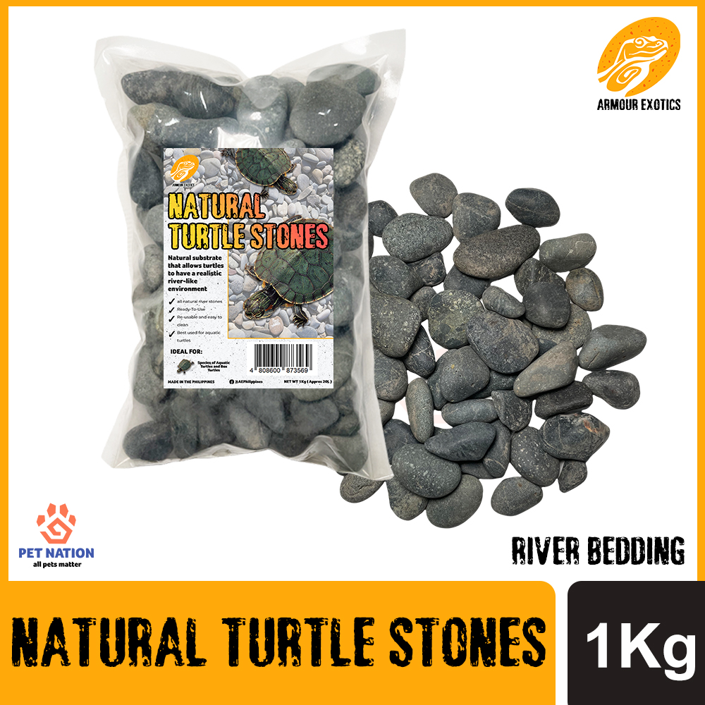 Armour Exotics Turtle Stones 1KG Turtle Pebbles Aquarium Stone | Lazada PH