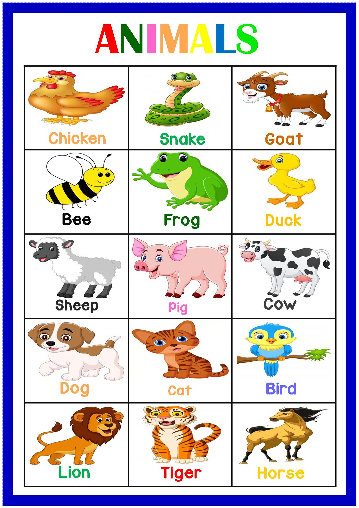 SCIENCE CHARTS A4 SIZE LAMINATED | Lazada PH