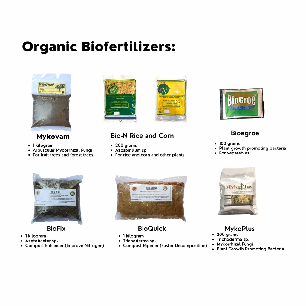 MYKOVAM/MYKOCAP biofertilizer mycorrhizal (All types of plants except ...