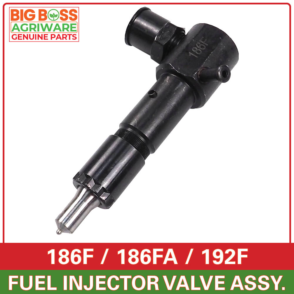 BBA Fuel Injector Valve Assembly 186F, 186FA, 192F (10hp, 12hp, 16hp ...