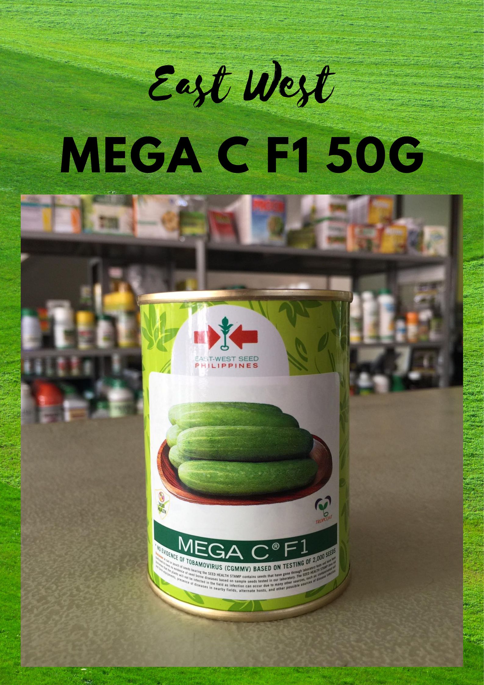 MEGA C F1 (50G) HYBRID CUCUMBER BY EAST WEST | Lazada PH