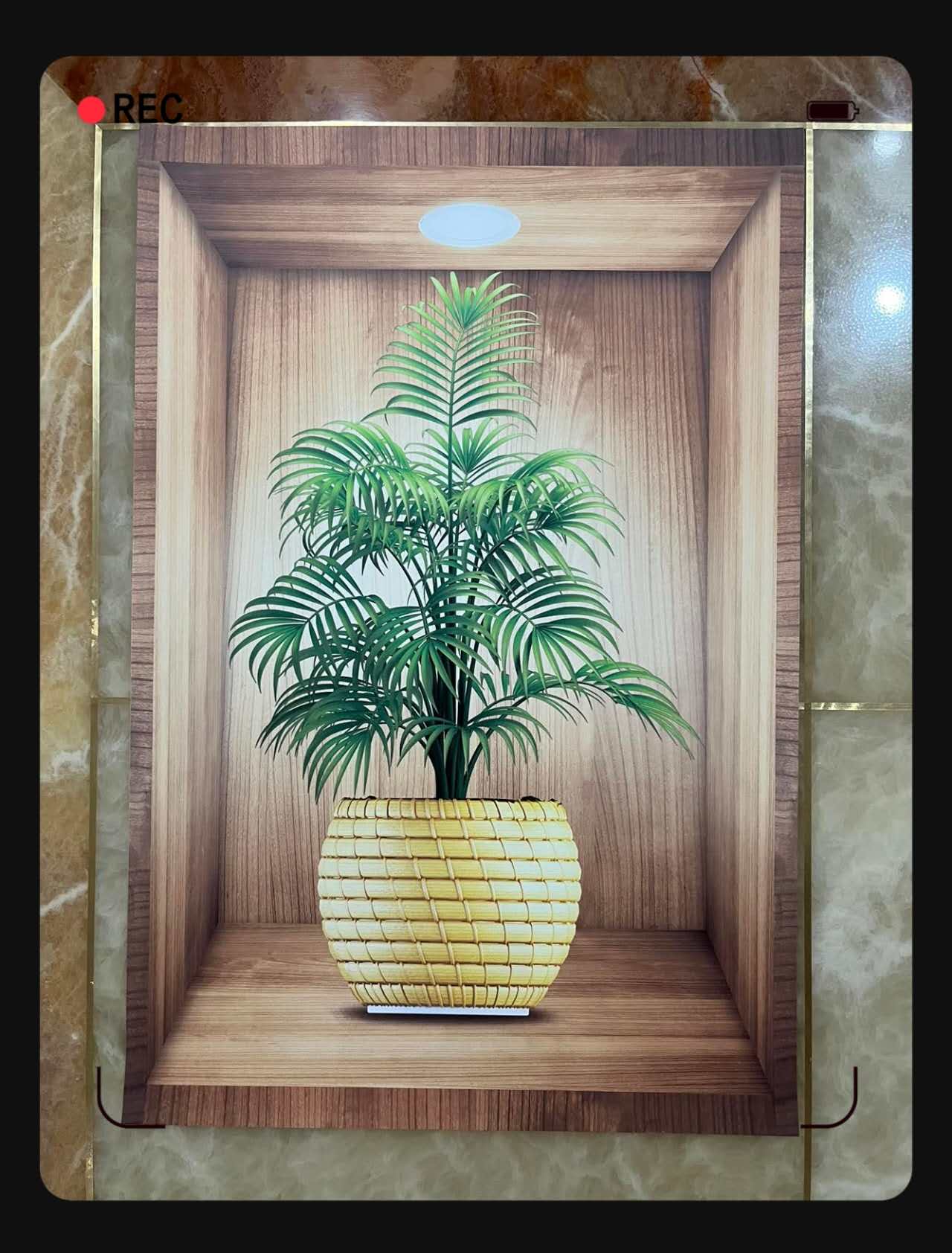 5D Removable Wall Sticker Plants Decals Living Room Bedroom Home ...