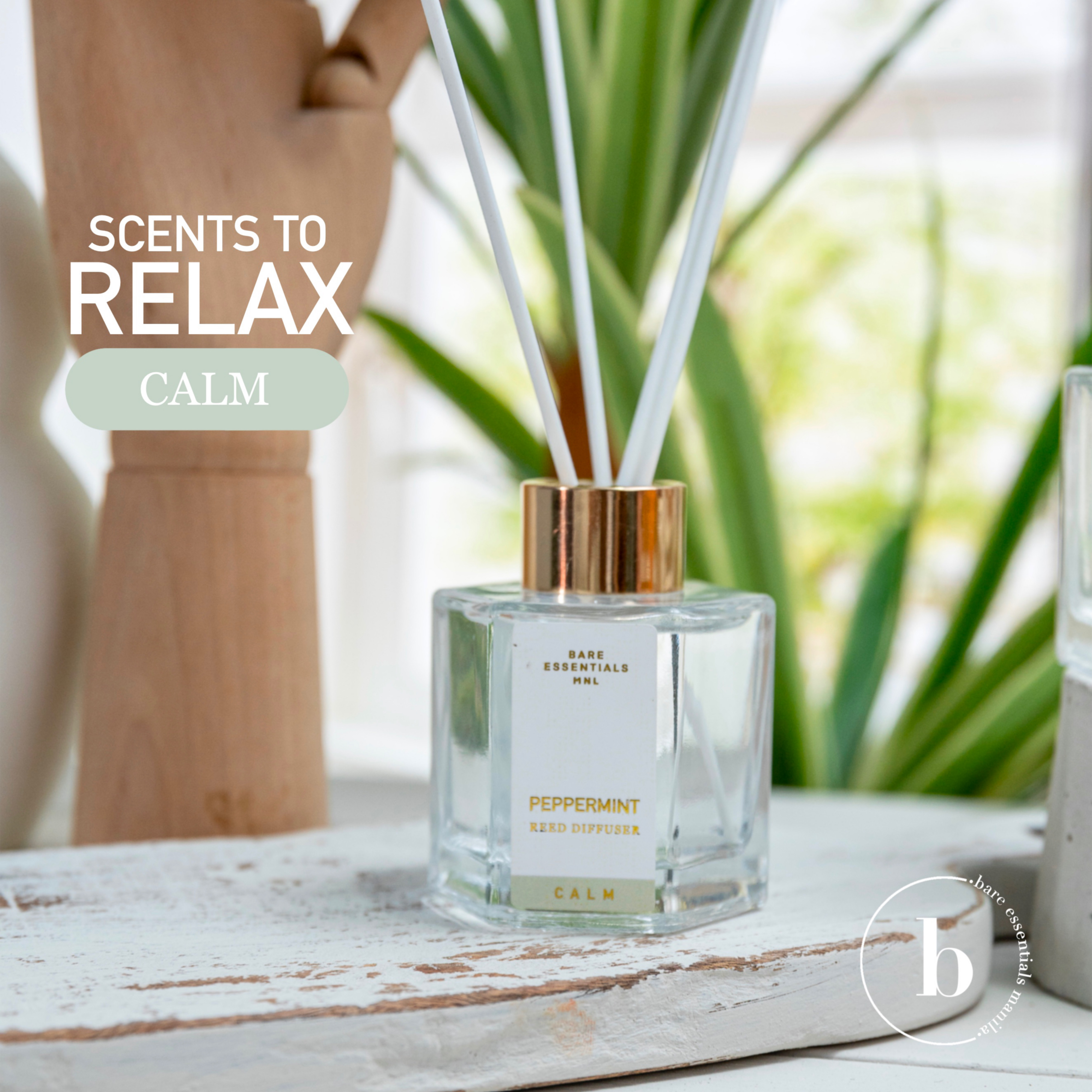 Relaxing Reed Diffuser - Bare Essentials Manila - Calm | Lazada PH