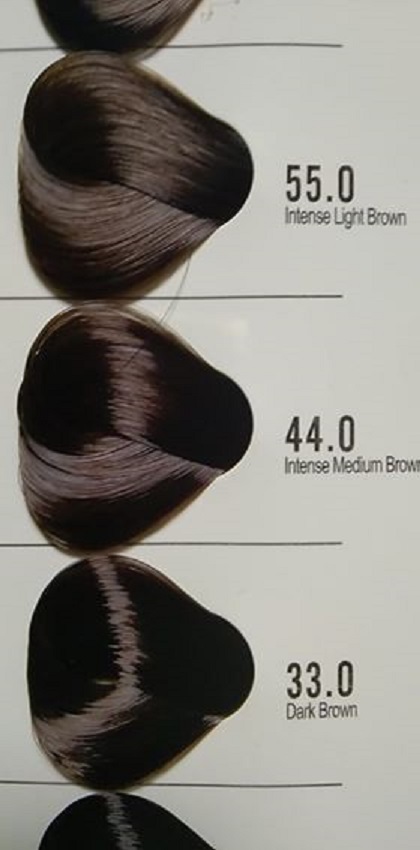 G2 BEAUTY PRODUCT HAIR COLOR ONLY | Lazada PH