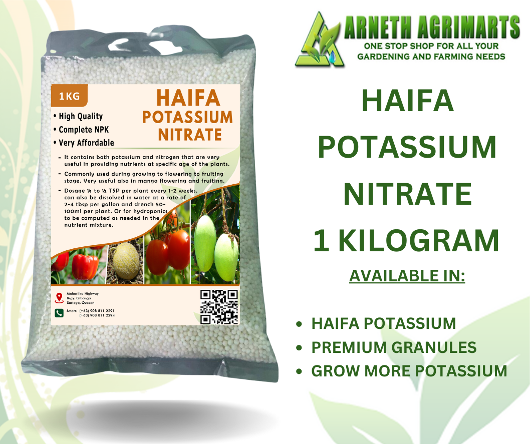 HAIFA POTASSIUM NITRATE (KNO3) FERTILIZER (1KG) FOR MANGO FLOWERING ...