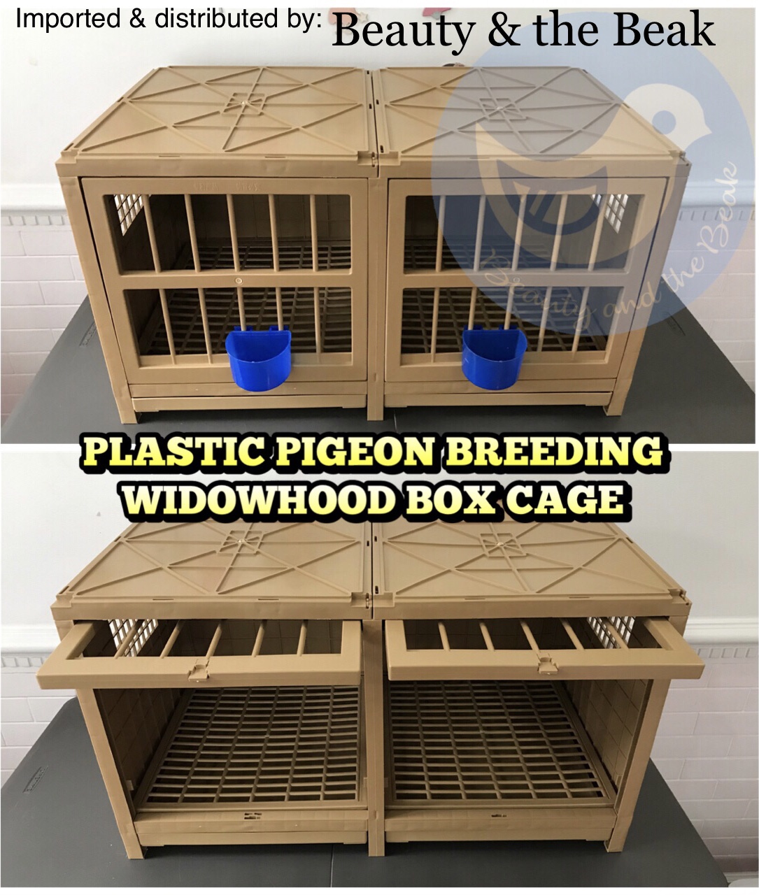 Premium Plastic Pigeon Breeding Widowhood Box Cage 2 FEEDERS NOT ...