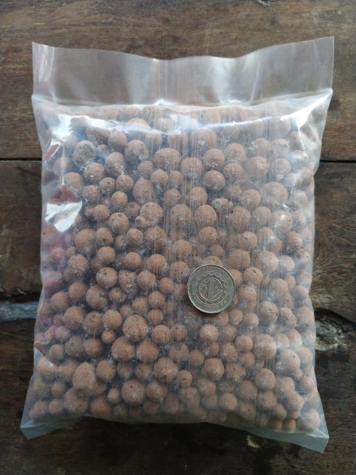 Hydroton Clay Small/Large 1 liter (approx 120g) | Lazada PH