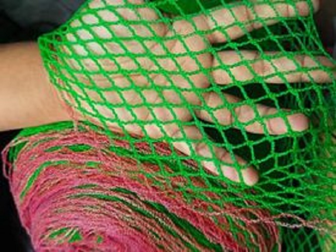 0.5 inch x8-10ftx90 meters-GREEN- GG NET/RANGE NET/CHICKEN NET/FISHING ...