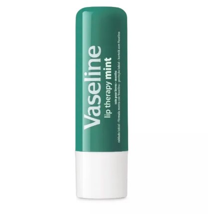 Vaseline Skin Care Lip Therapy Balm Mint | Lazada PH