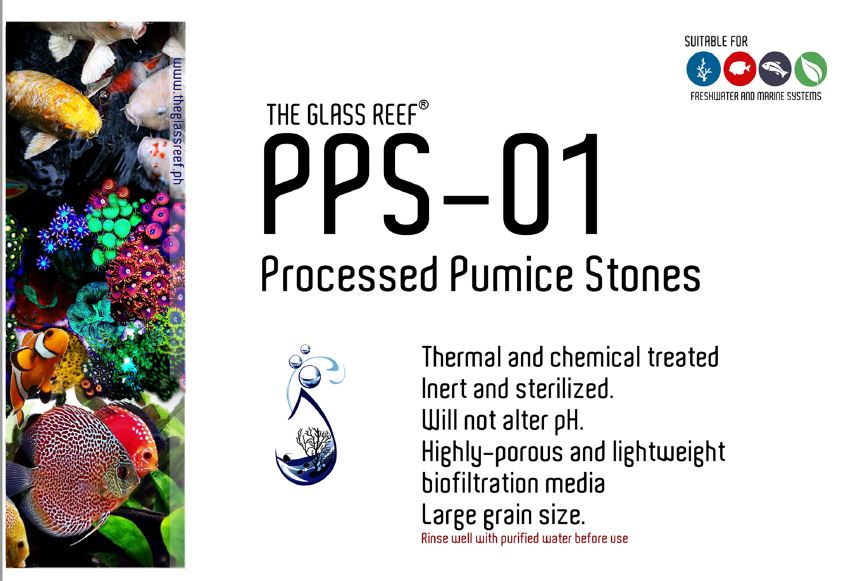 TGR PPS Pumice Rock for Media Filtration | Lazada PH