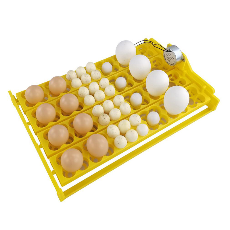 24 Eggs Tray with Synchronous Motor 220V Automatic Incubator Hatching ...