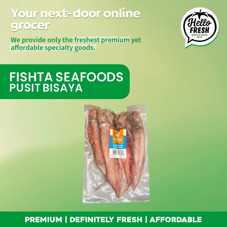 HELLO FRESH Fishta Pusit Bisaya 500g | Lazada PH