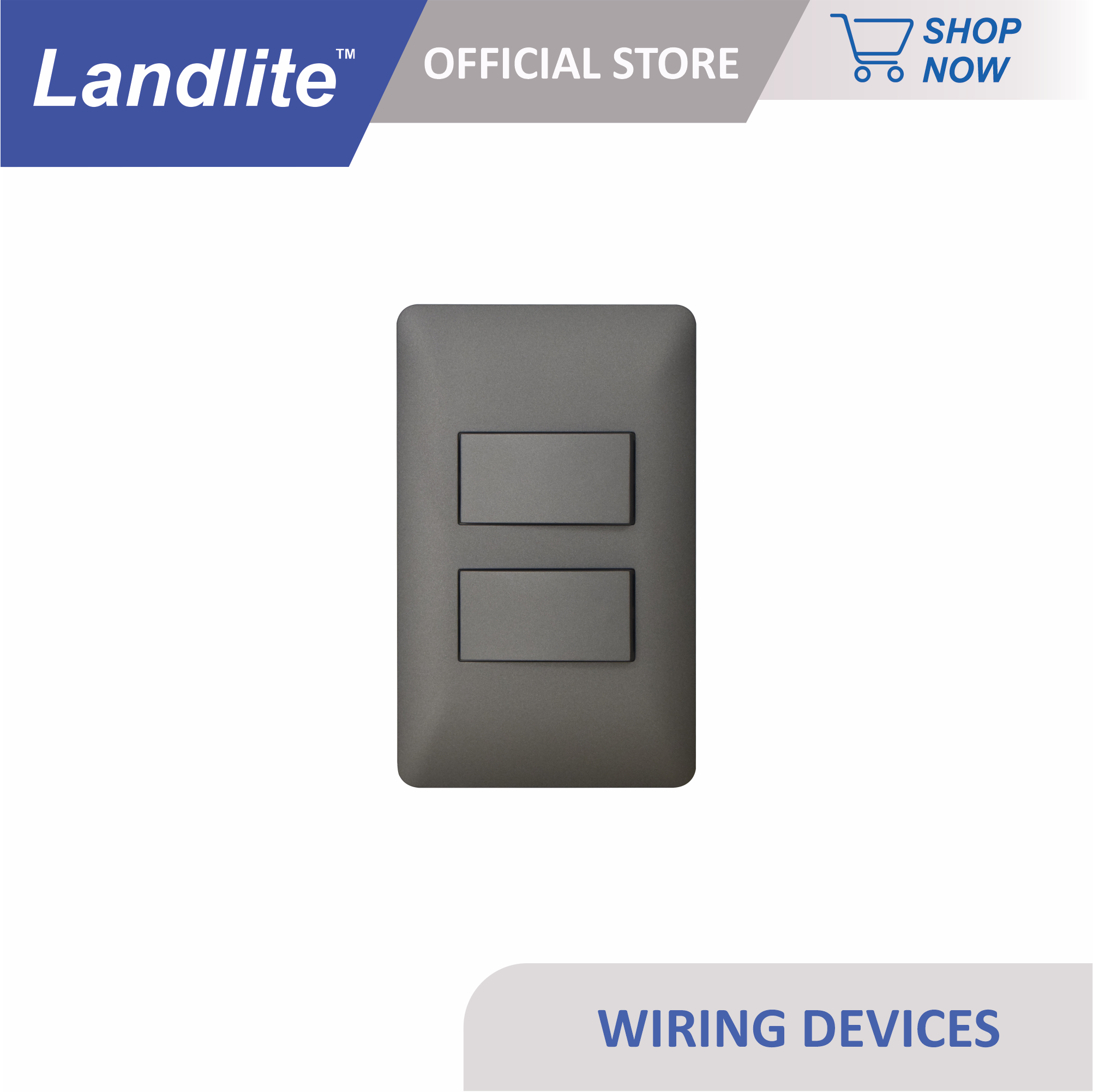 Landlite Wiring Devices LWD-SWPL-2G-1W-GRY | Lazada PH