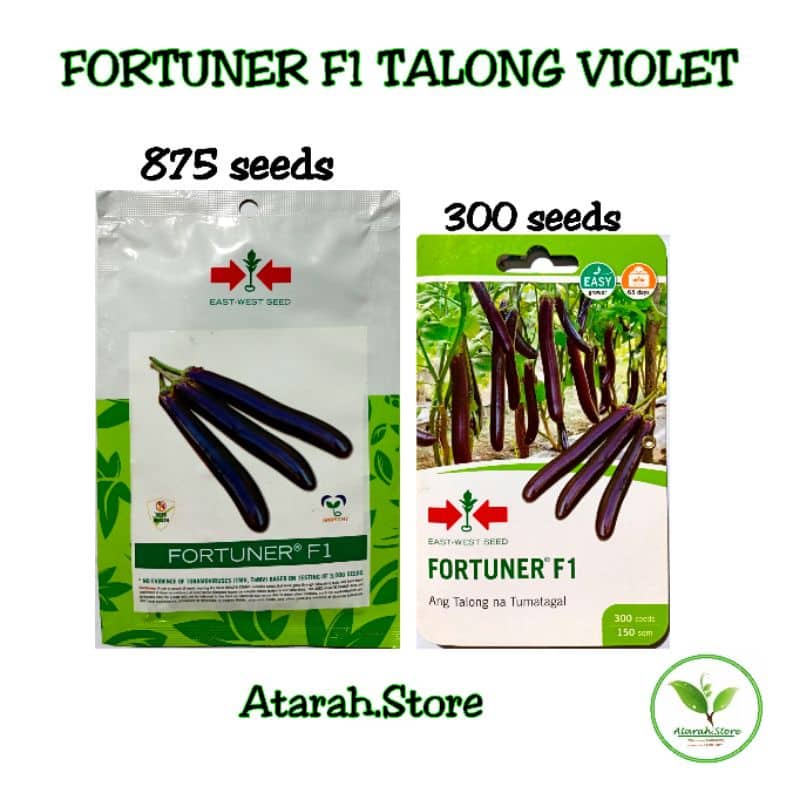 Hybrid MORENA F1/ FORTUNER F1/ CALIXTO F1 Talong Violet (Eggplant) East ...