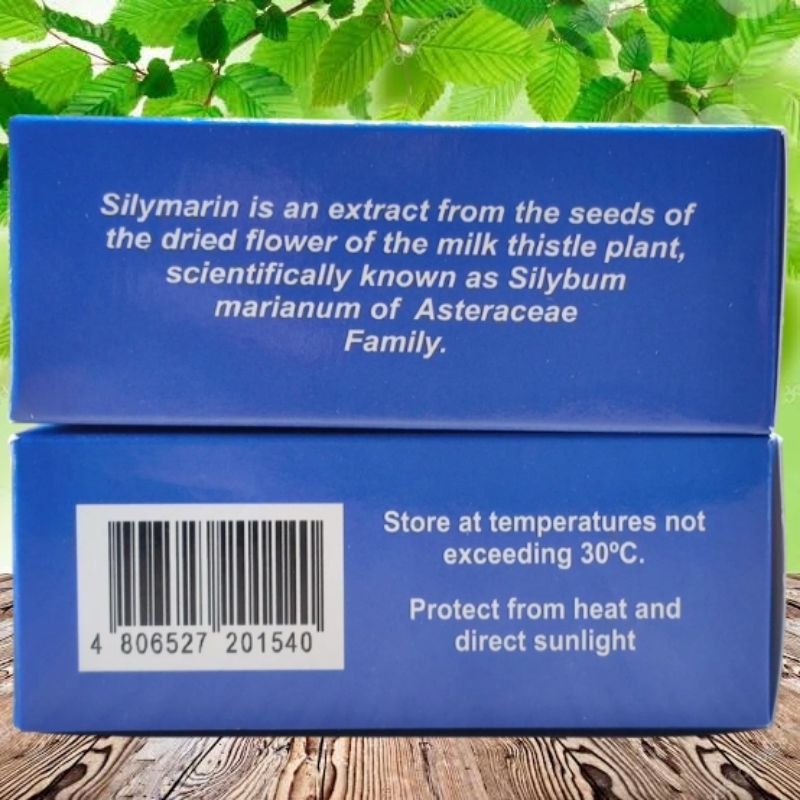 Silymarin plus Vitamin B-Complex LIVERBOS 32 Capsules | Lazada PH