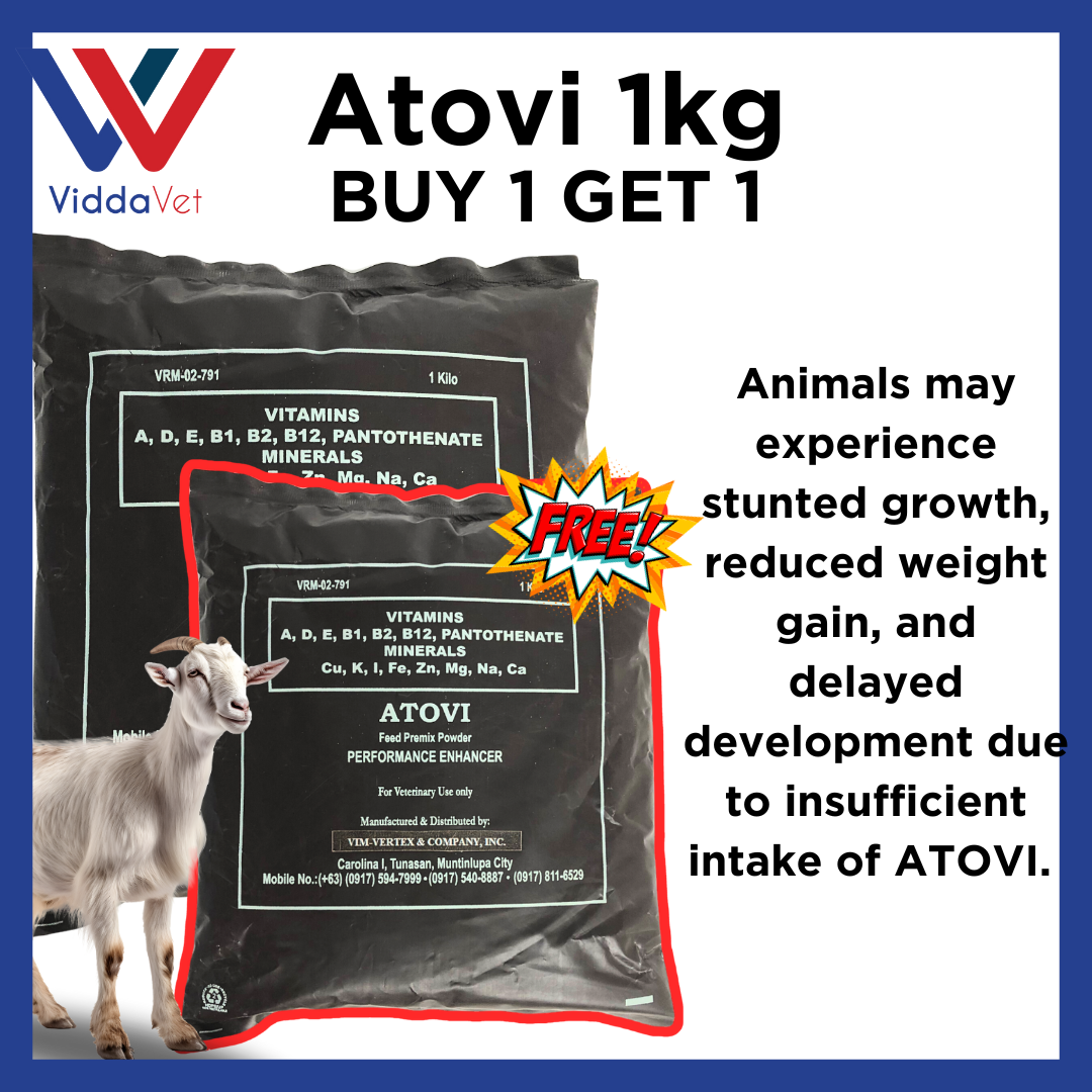 2kls Atovi wonder powder Atovi nanotech 2kilos kilo for birds Atovi for ...
