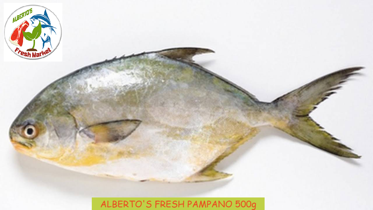 FRESH PAMPANO FISH 500g | Lazada PH