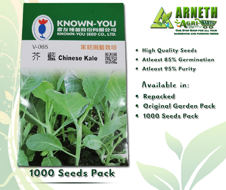 CHINESE KALE SEEDS BY KNOWN YOU | Lazada PH