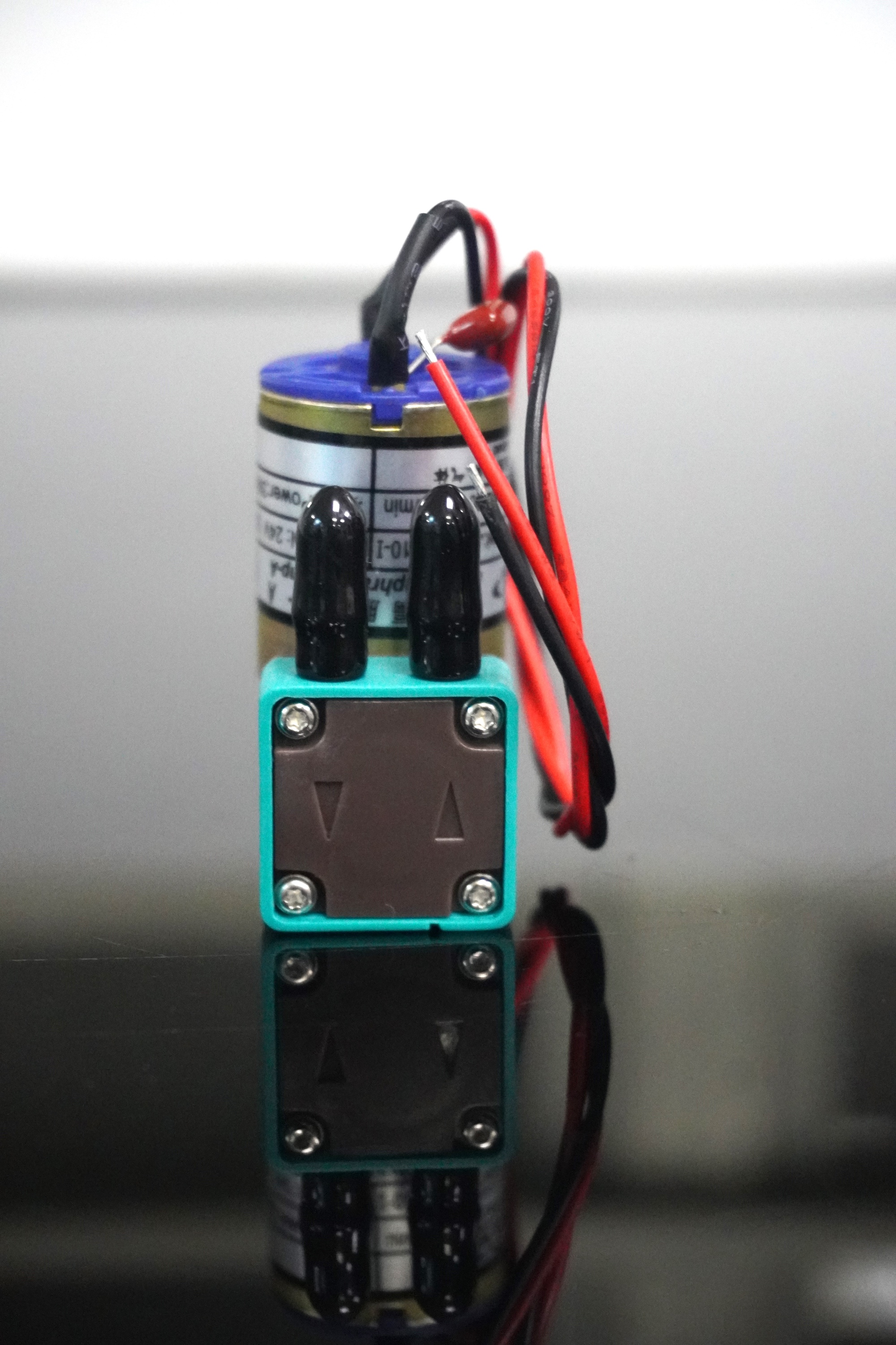 PPS 24V 3W Ink Pump Motor Small and 24V 7W Ink Pump Big (Diaphragm) for ...