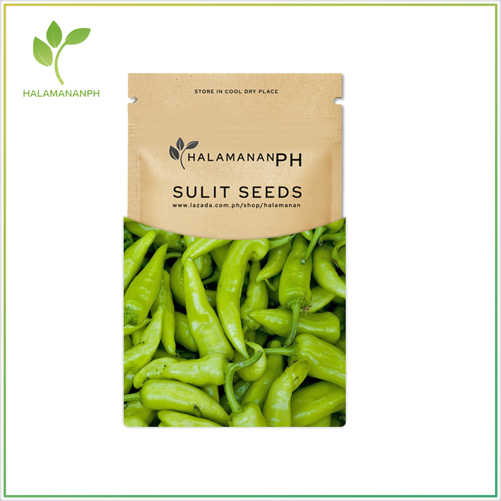 100 SEEDS CHILI PEPPERS - SILI INOKRA / ARUY - UY (SWEET VARIETY ...