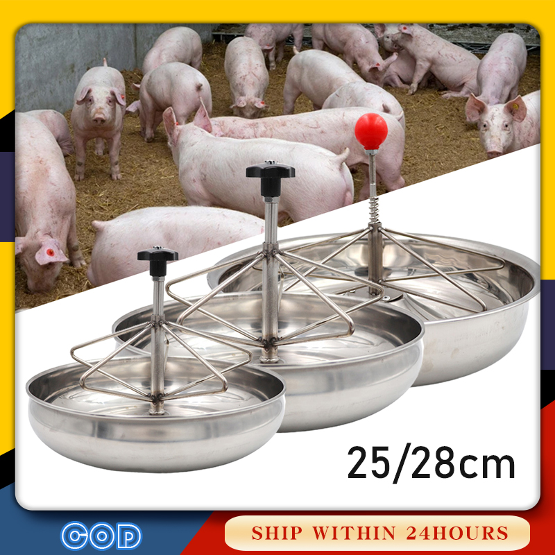 Large Stainless Steel Piglet Feeding Trough Sow Feeder Bowl for Pig ...