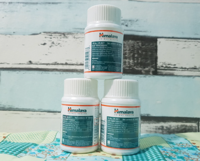 Himalaya Immunol for dogs and cats (60 tablets) | Lazada PH