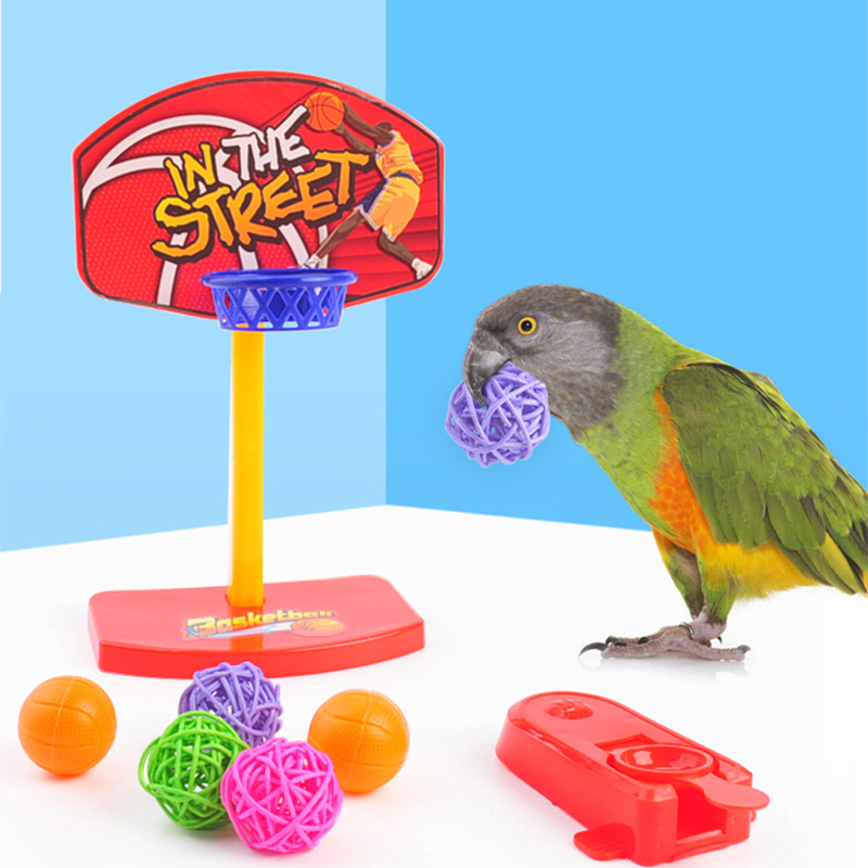 Parrot Training Toys Bird Chew Toy Puzzle Training Birdie Basketball ...