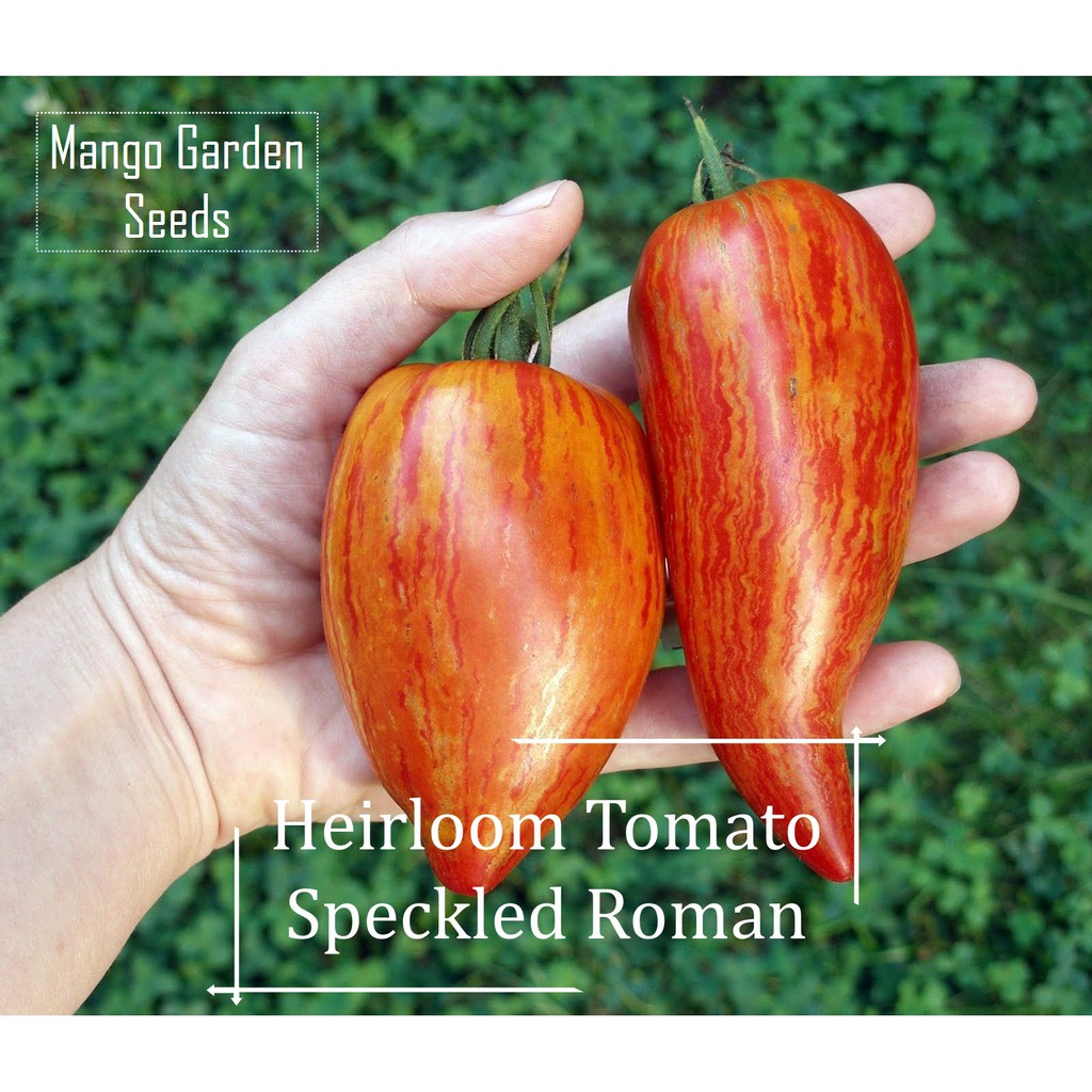 *Rare* Heirloom Speckled Roma Tomato Seeds - 20 Seed *Pot Friendly ...