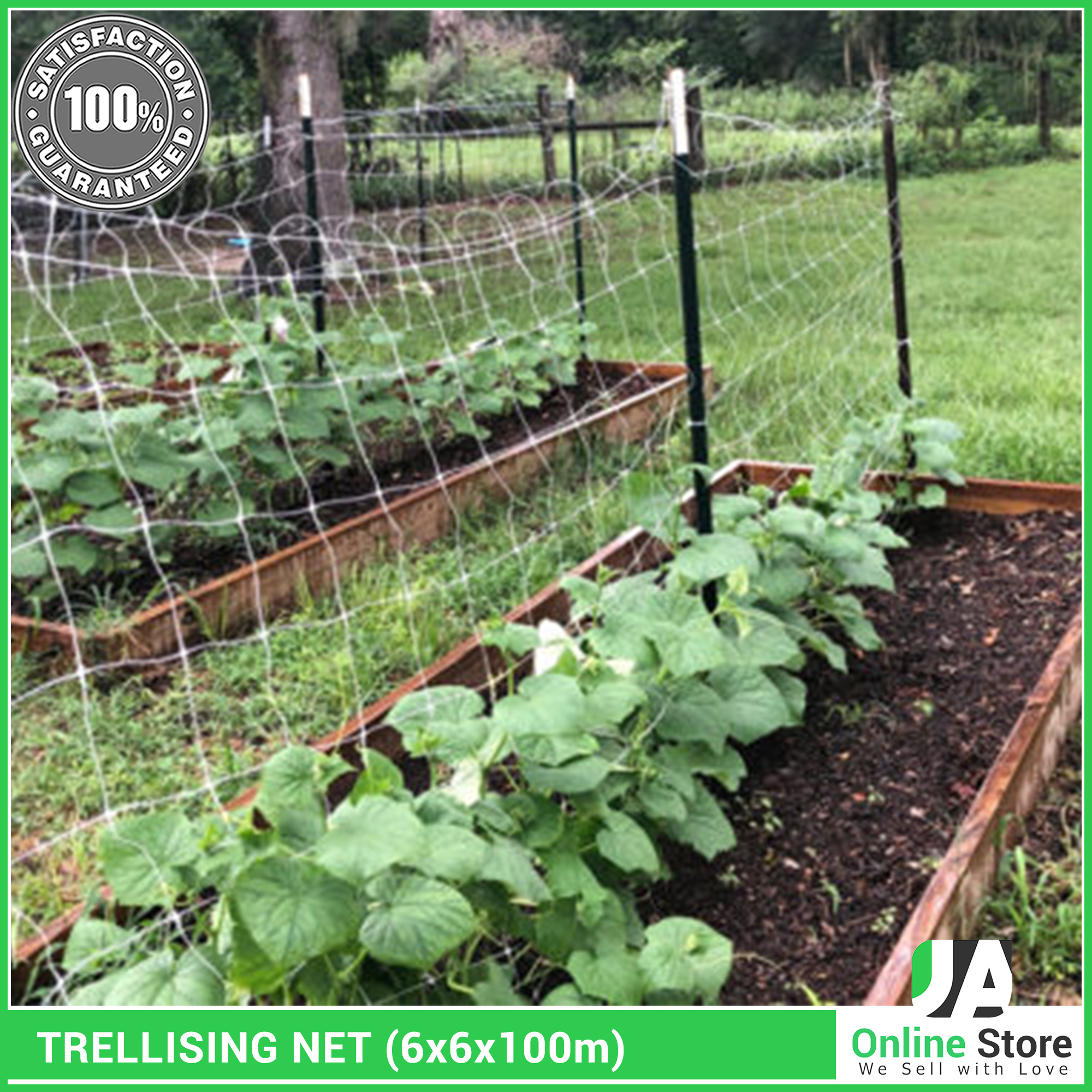 High Quality Trellising Net (6x6x100meters) Crop Support Trellis ...