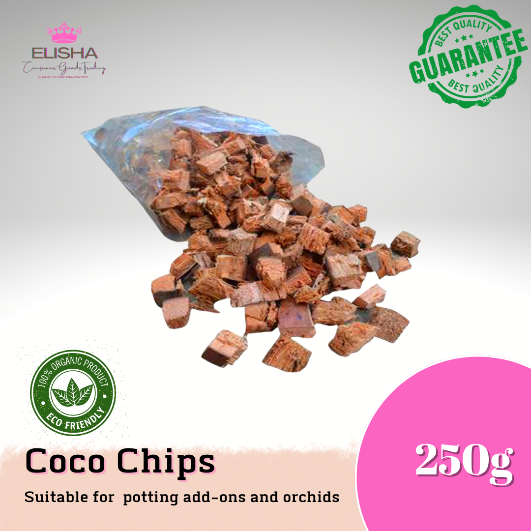 ELISHA l Mura na Quality pa! (250grams 500grams 1kg) Coco Chips | For ...