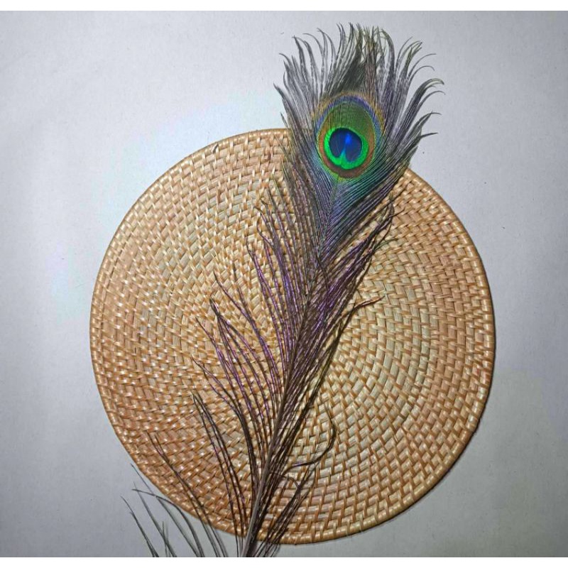 Real Peacock Feather Home Decor Dried Memories PH | Lazada PH