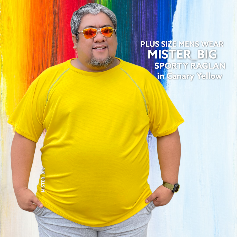 SPORTY RAGLAN PLUS SIZE MENS WEAR | Lazada PH