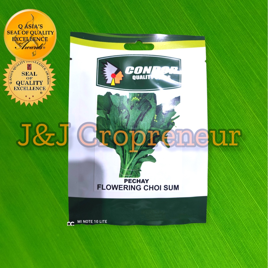 FLOWERING PECHAY CHOYSUM 5 GRAMS (CONDOR) | Lazada PH