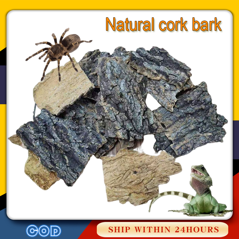 Natural Cork Bark Backdrop Reptile Climbing Mat Habitat Decor for ...