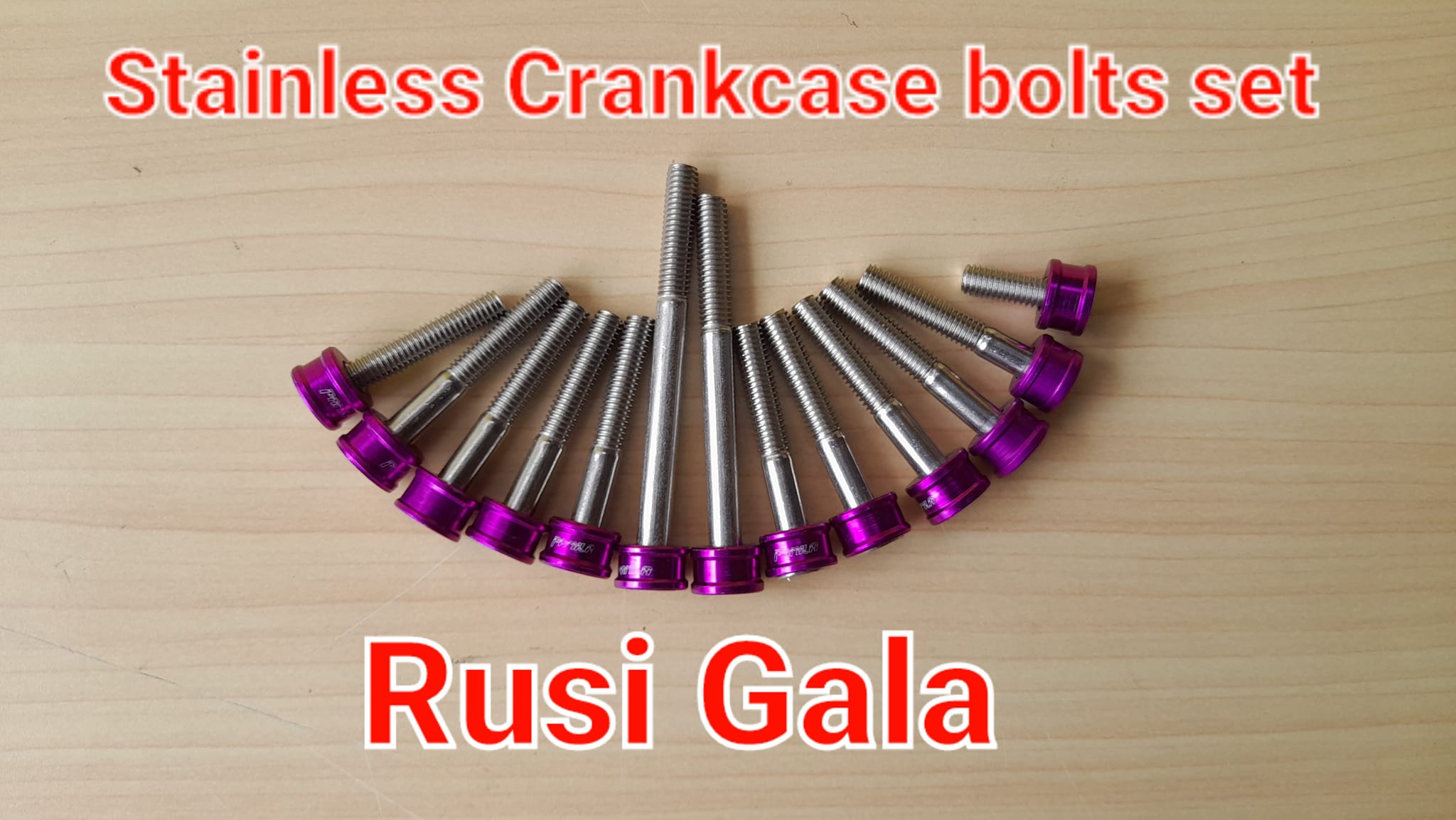 gaddiel mc parts stainless crankcase bolts set for Rusi Gala.. | Lazada PH