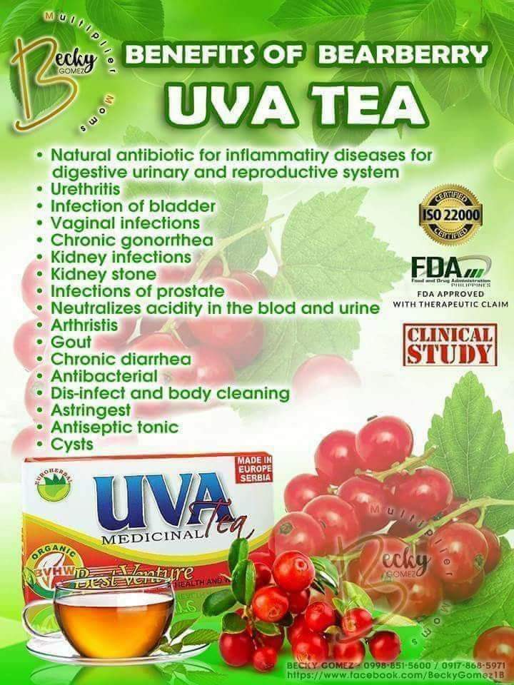 AUTHENTIC UVA TEA | Lazada PH