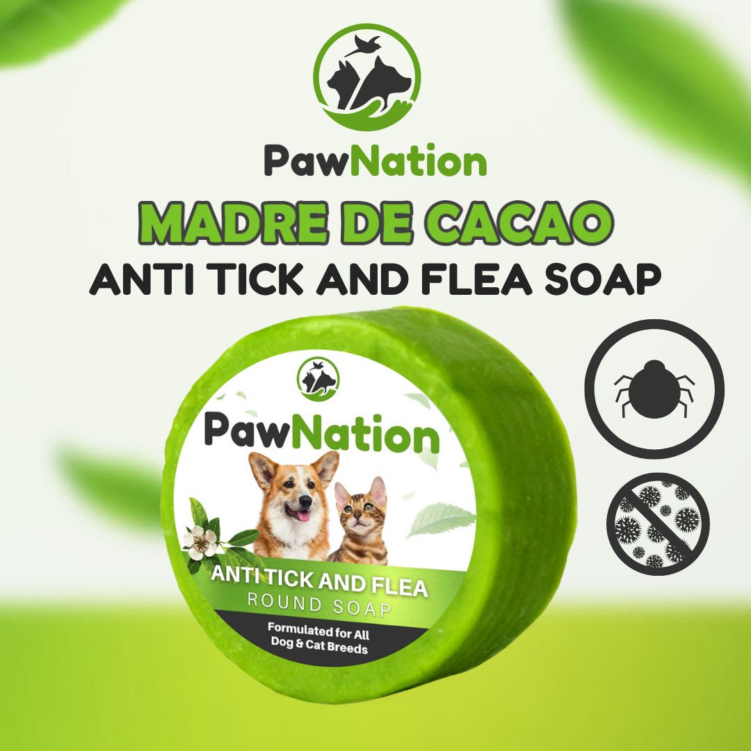 PawNation Madre De Cacao Pet Round Soap 25g Anti Ticks and Fleas for ...