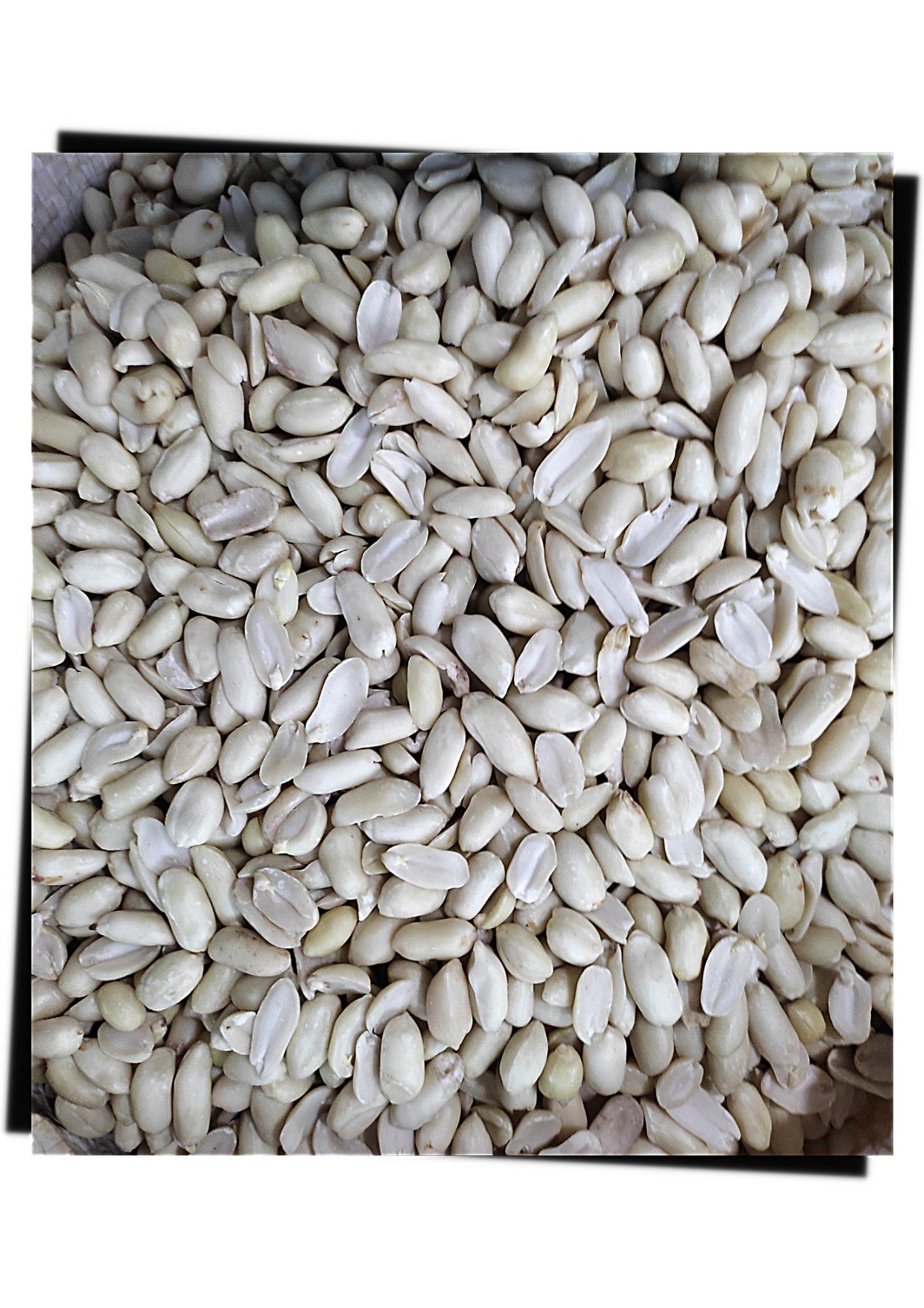 Peanuts, Big, Raw, Skinless Mani Hubad Walang Balat Hilaw Malalaki 500 ...