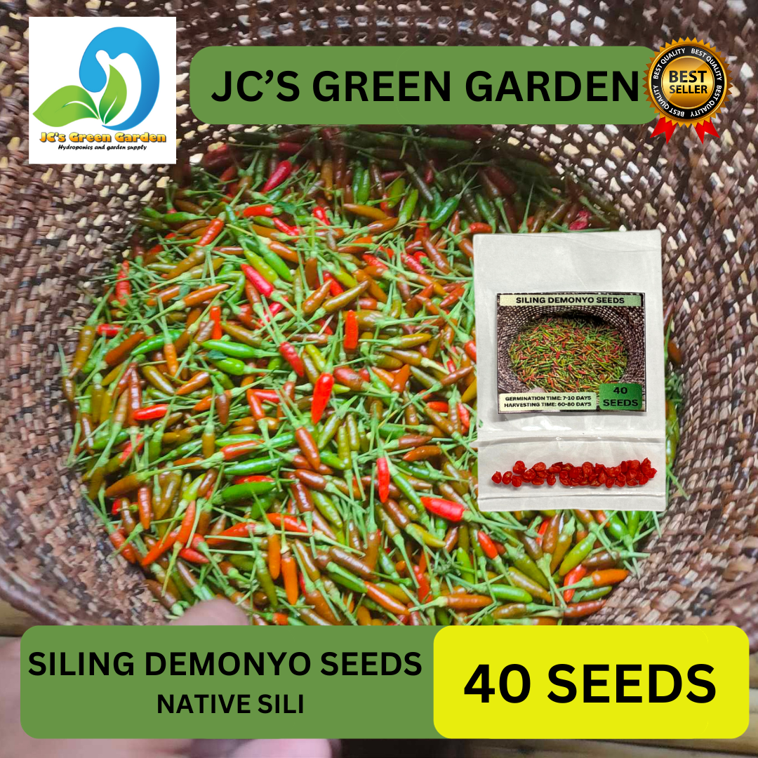VALUE PACK (40 SEEDS) SILING DEMONYO/NATIVE SILI/SUPER HOT - 1PACK ...