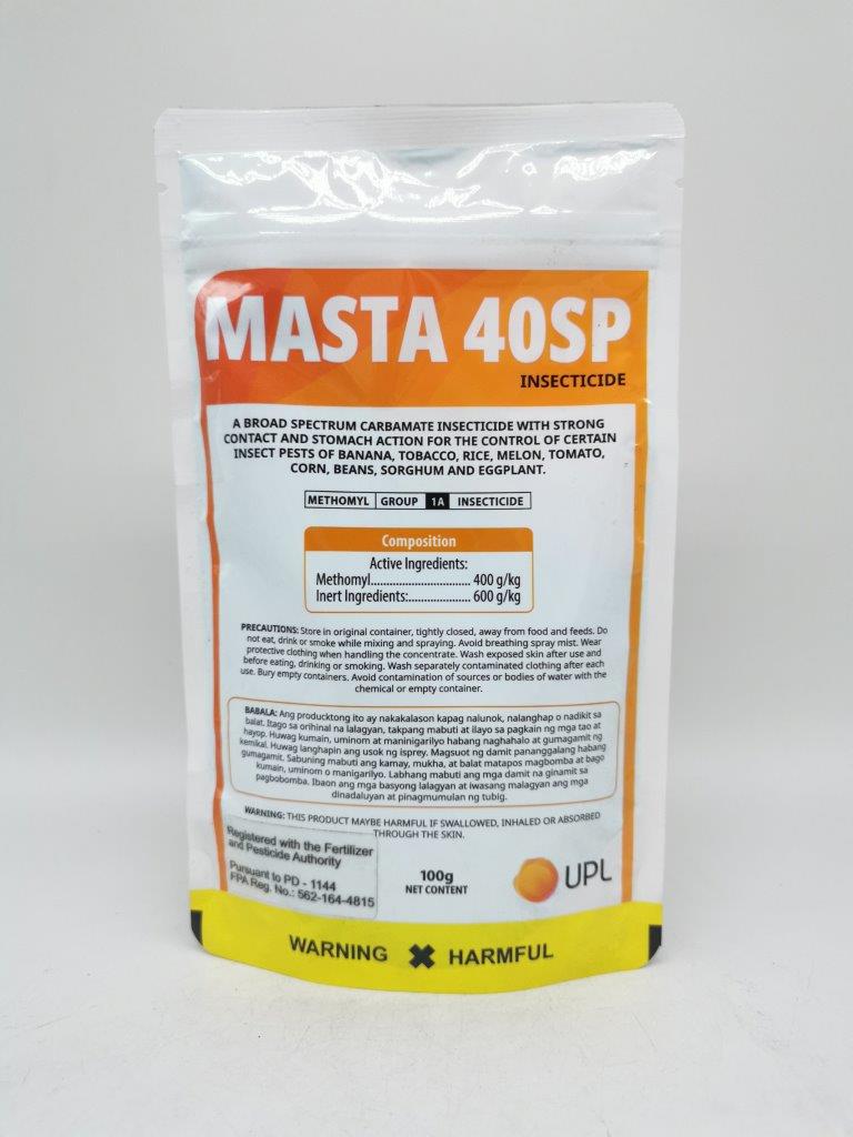 MASTA INSECTICIDE 100G | Lazada PH