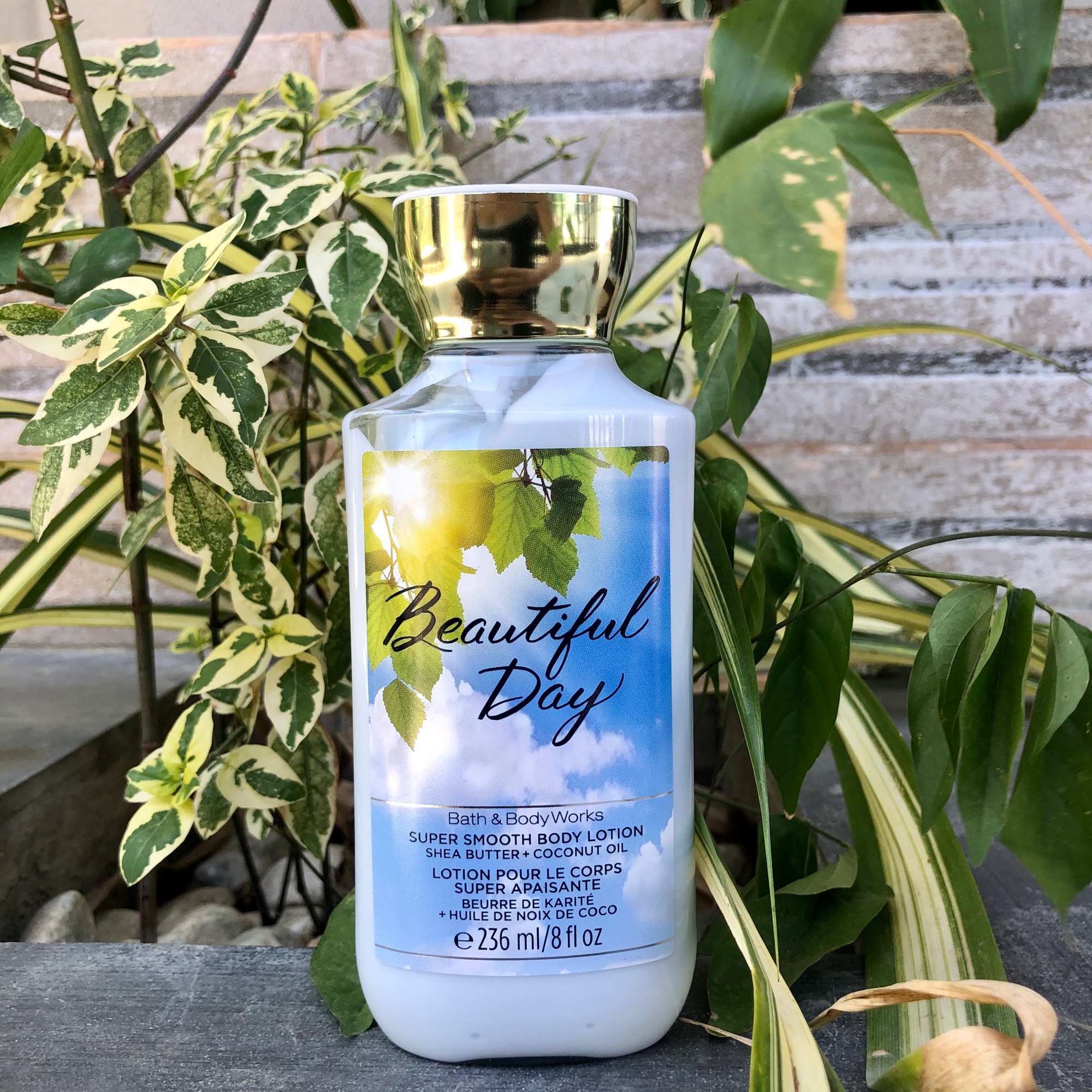 100% Authentic Bath & body Works BEAUTIFUL DAY perfume lotion 236ml ...