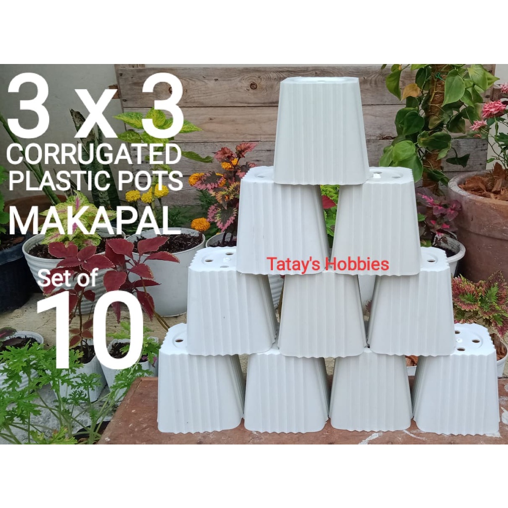 Corrugated Plastic Pots 3x3 - MAKAPAL 10pcs | Lazada PH