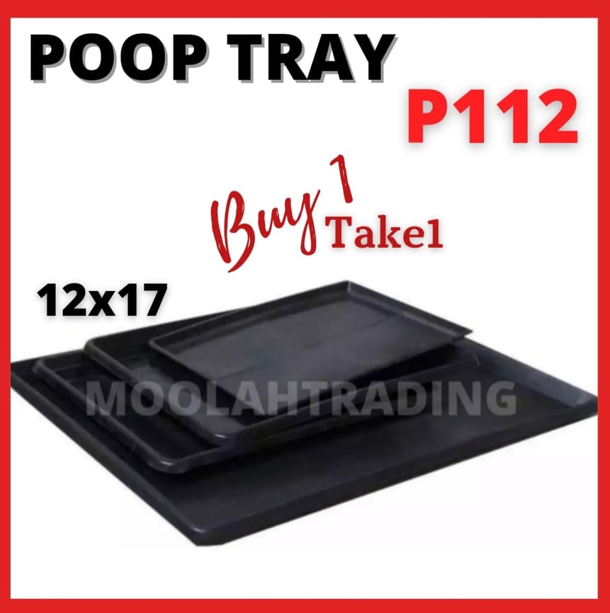 Moolah88 Heavy Duty Poop Tray 12x17 (BUY 1 TAKE 1) 112 Only | Lazada PH