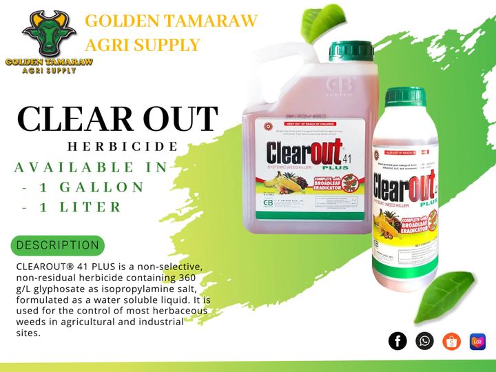 CLEAR OUT 41-PLUS 1L | Lazada PH