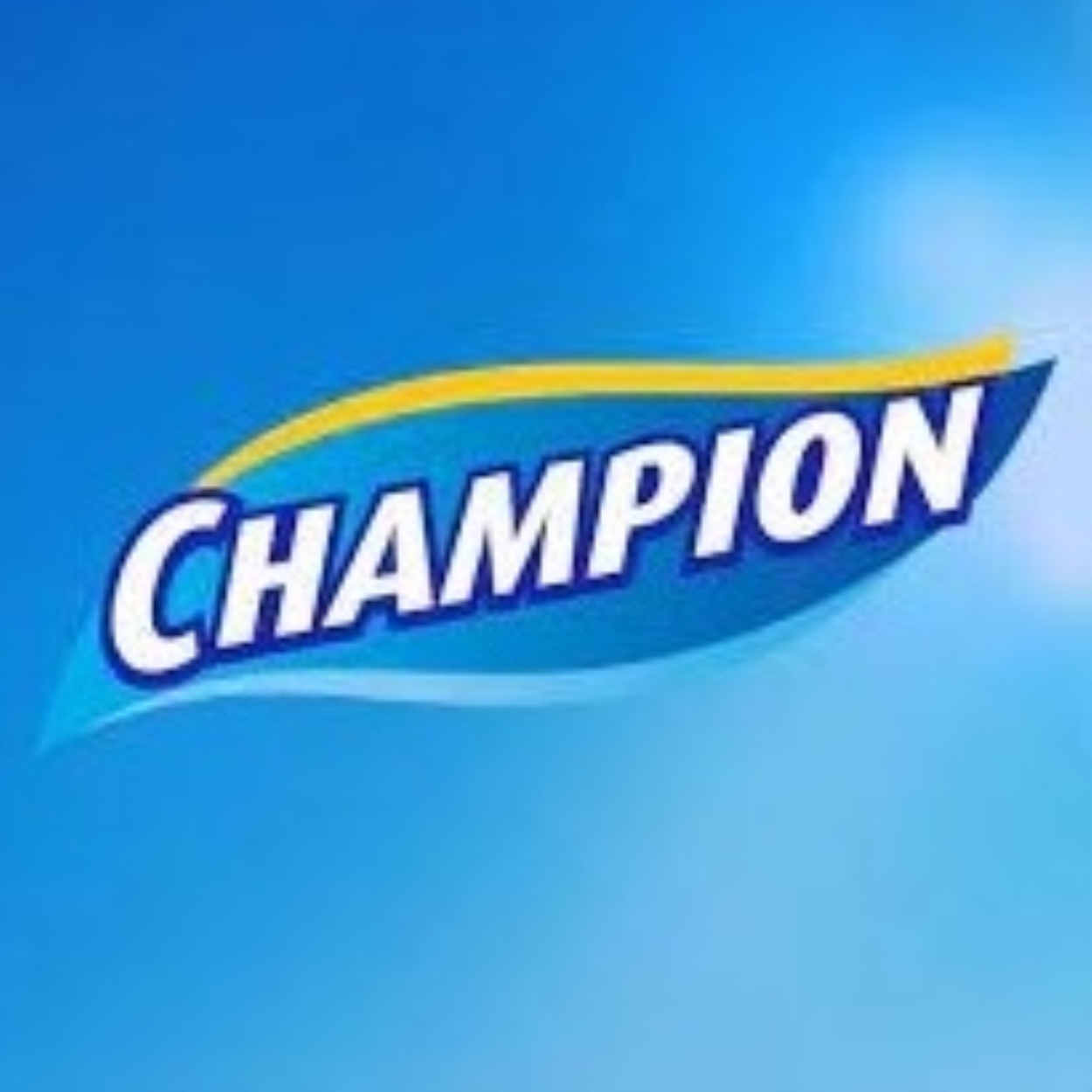 Champion Powder Detergent With Fabric Conditioner 800G | Lazada PH